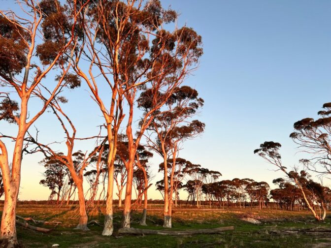 Call for policy reform for infrastructure projects on Indigenous lands ...