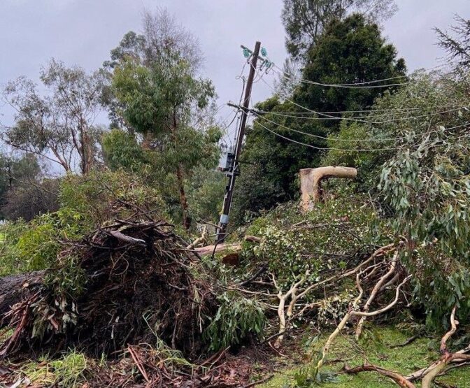Network Outage Review releases interim report on February storms ...