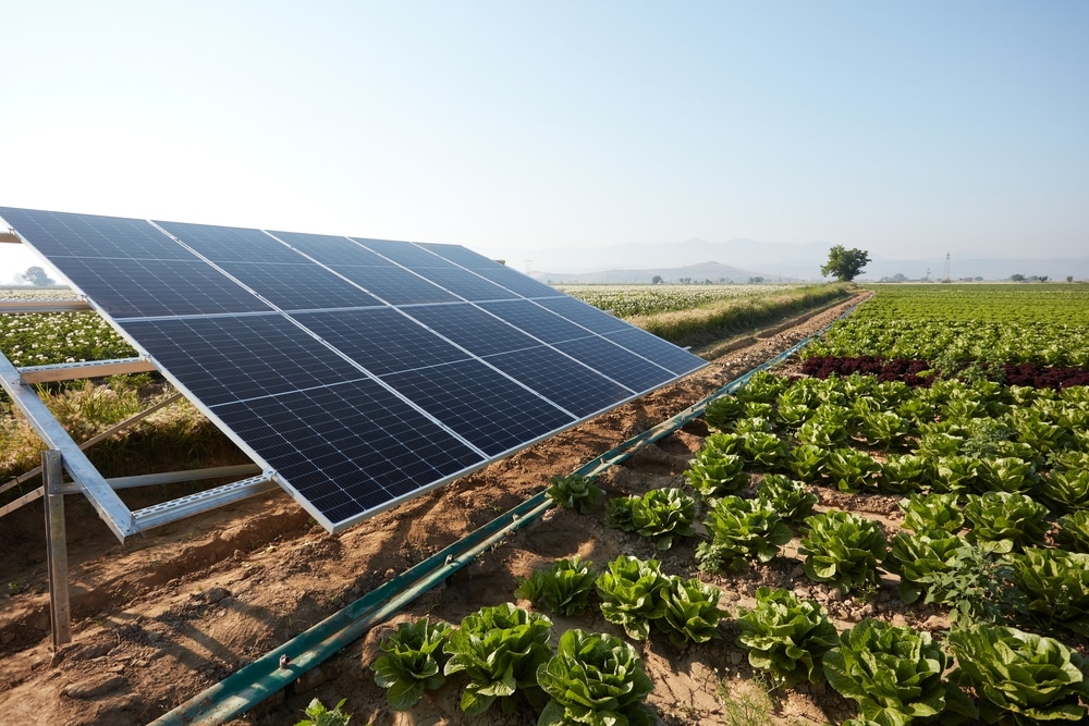 Report: benefits of renewables for agriculture - Energy Magazine