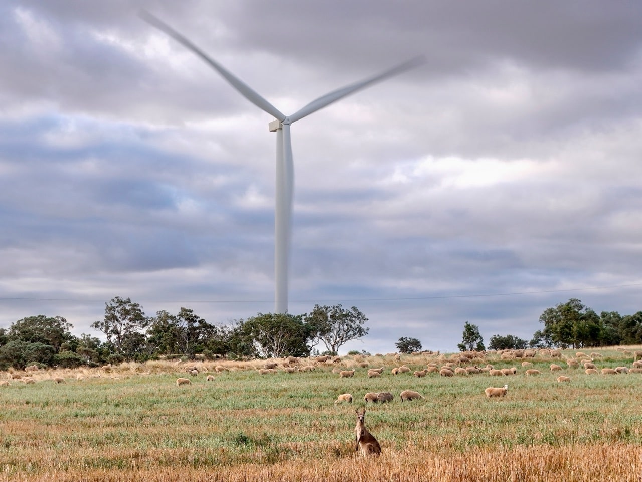Guidebook to support NSW farmers navigate transition - Energy Magazine