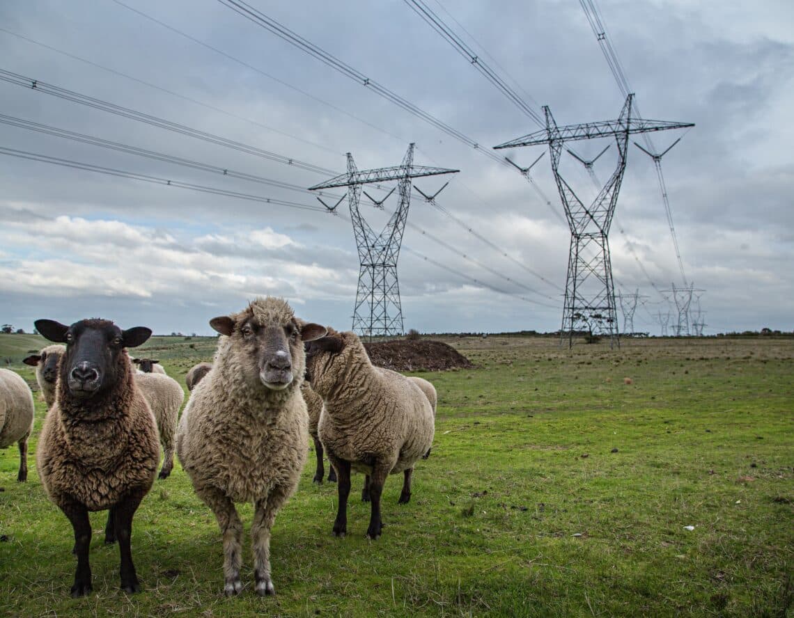 VicGrid’s 2025 Transmission Plan unveiled - Energy Magazine